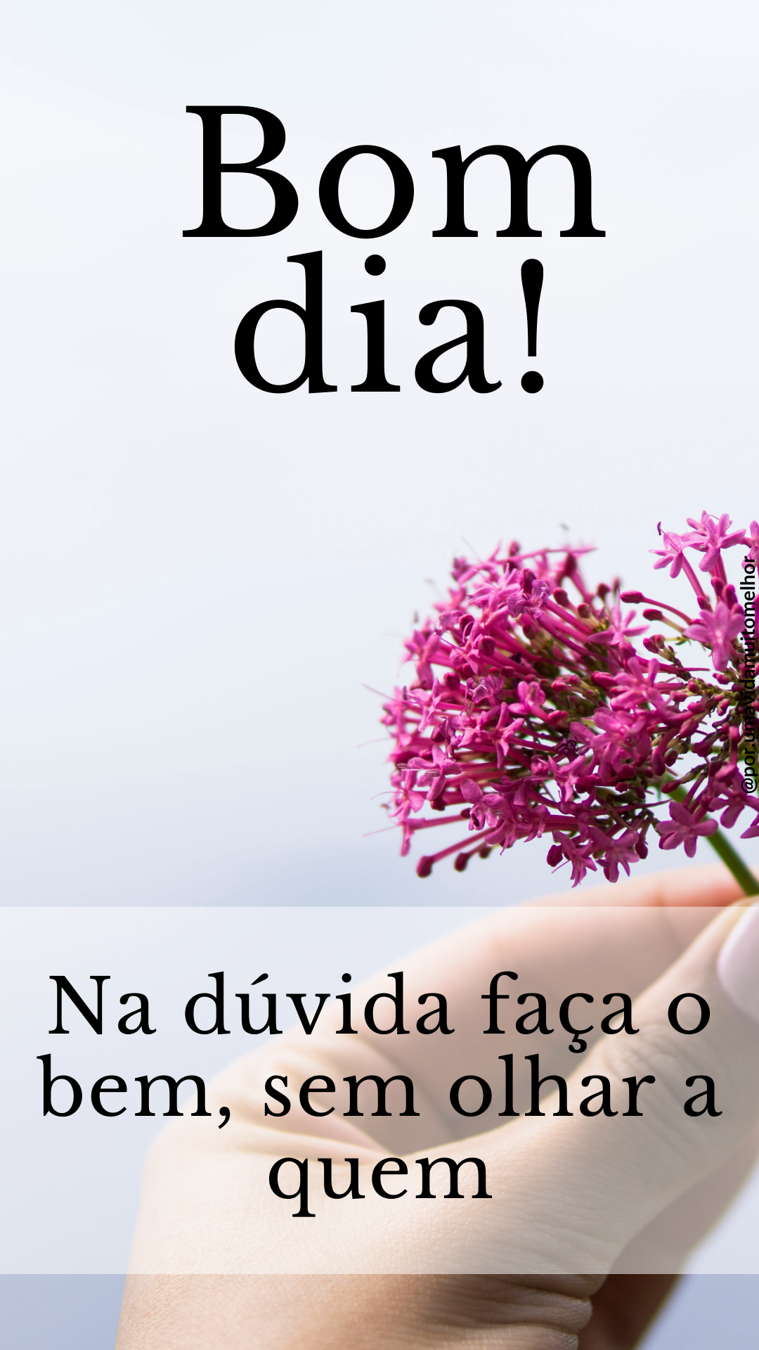 Mensagens de Bom dia - Bem aventurada