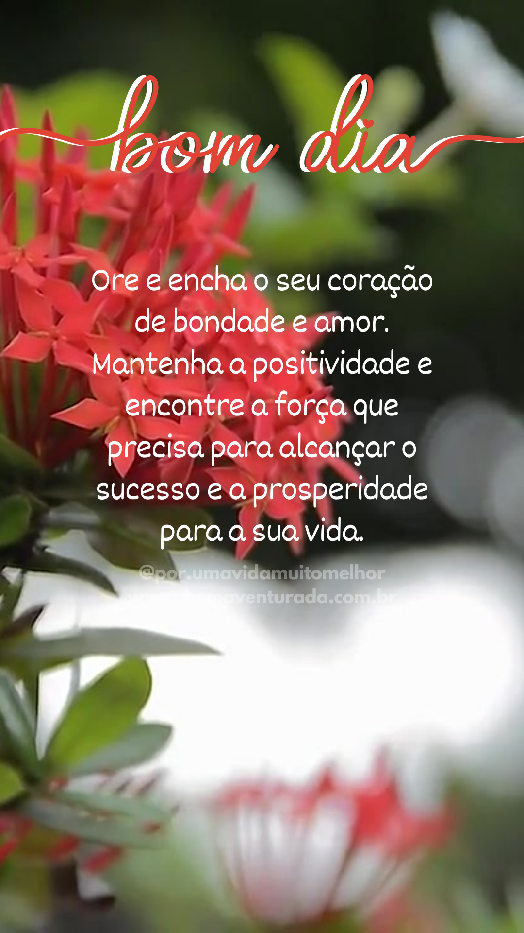 Mensagens de Bom dia - Bem aventurada