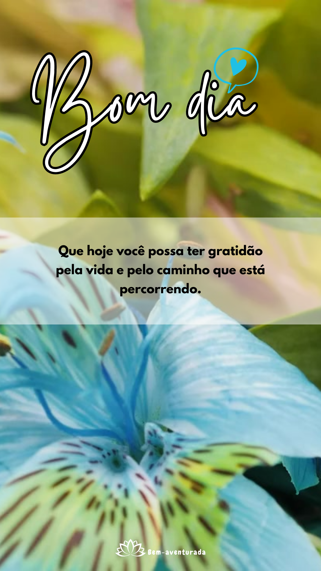 Mensagens de Bom dia - Bem aventurada